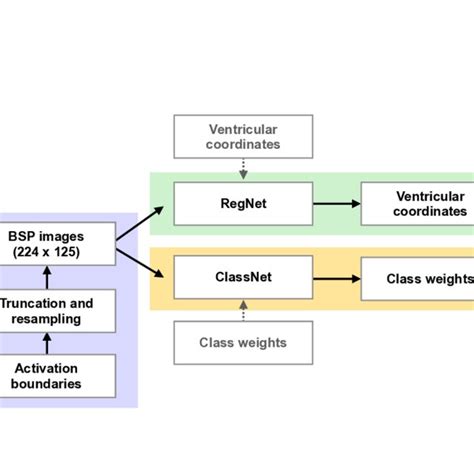 the two step approach for the localization of the excitation origin