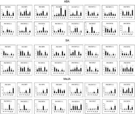 Expression Profiles Of 16 Selected Ptrubp Genes In Response To Various
