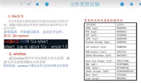 【全75集】ctf零基础入门到精通教程，赛前必看！网络安全 信息安全 ctf夺旗 哔哩哔哩