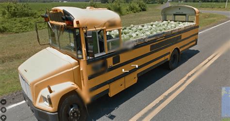 Scenery Cheat Sheet R Geoguessr