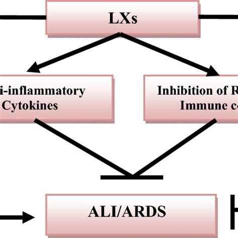 Role Of Lipoxins Lxs In The Prevention Of Acute Lung Injury Ali And