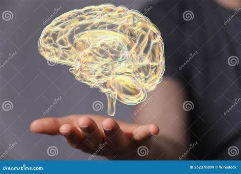 3d Rendering Of Human Brain Anatomical Model Floating Over A Hand Stock