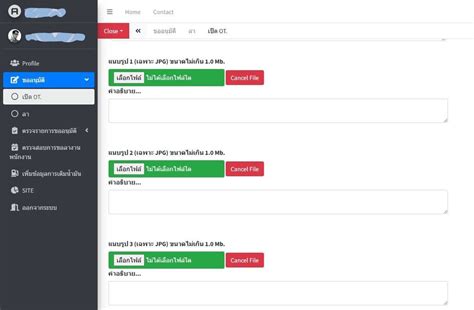 รับปรึกษา ออกแบบและพัฒนาระบบ Win Application และ Web Application