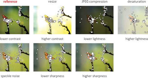 Duration Gaze Plot Of All The Different Manipulations On One Of The Download Scientific Diagram