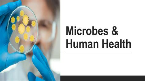 Solution Microbes And Human Health Powerpoint Presentation Studypool