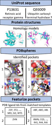 Clustering Protein Binding Pockets And Identifying Potential Drug Interactions A Novel Ligand