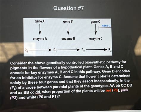 Solved Question 7consider The Above Genetically Controlled