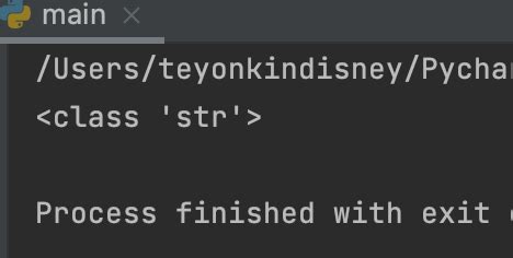 Type Python Everdevel