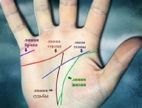 Линия брака на руке хиромантия с разъяснениями и фото