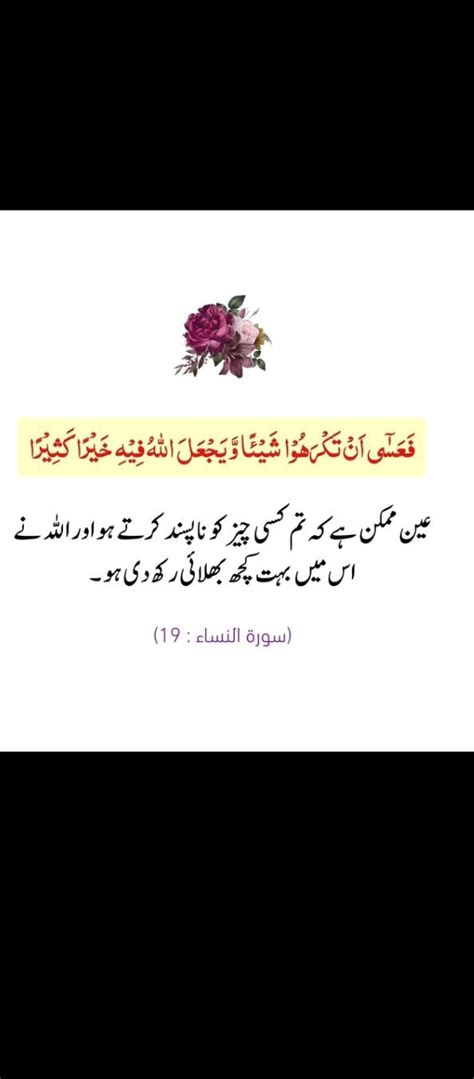 Indeed Anas Hussain Mr Rumi