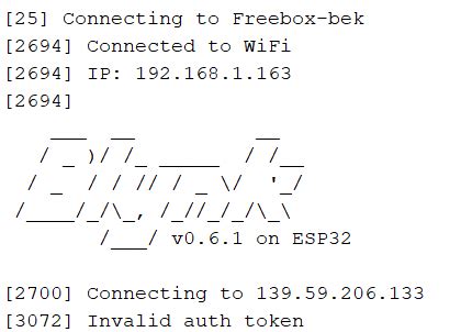 Invalid Auth Token BLYNK 2 First Setup Need Help With My Project Blynk Community