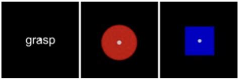 Robotic Arm Control Through Algorithmic Neural Decoding And Augmented Reality Object Detection