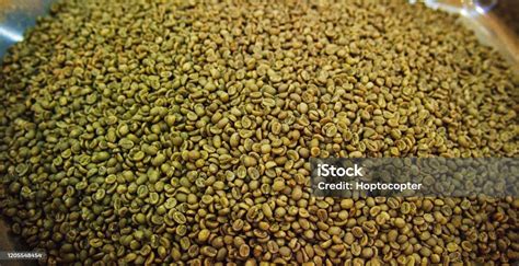 대형 상업용 커피 로스터의 대형 금속 호퍼에 생 그린 커피 콩 0명에 대한 스톡 사진 및 기타 이미지 0명 구이 금속 Istock