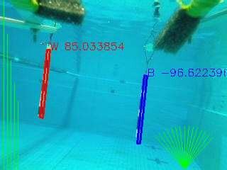 Detected Poles Colours Denote The Type Of Pole Download Scientific Diagram