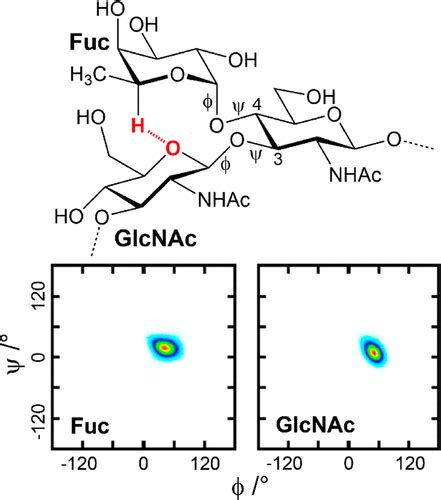 Glycan Shape Motions And Interactions Explored By NMR Spectroscopy JACS Au