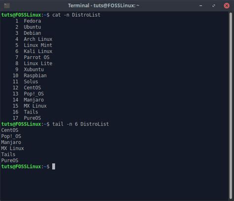 the 6 best ways to view files in linux foss linux