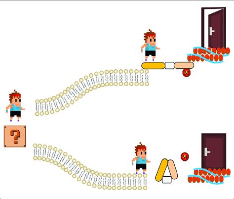 The Schematic Of Regulation Of Actin Binding Proteins By