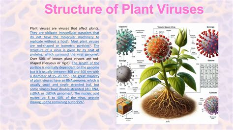 Introduction To Viruses Classification And Structure PPTX