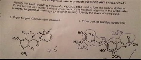 Identify The Basic Building Blocks C2c3c6c3