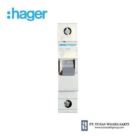 Promo Tuya Wifi Smart Switch Eu 2 Gang Saklar Home Automation Iot