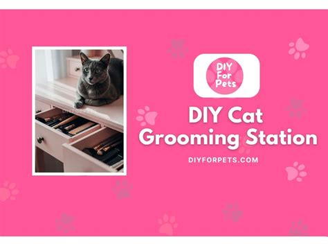 Homemade Cat Toys You Can Make In Under Minutes No Sewing Needed Diy For Pets