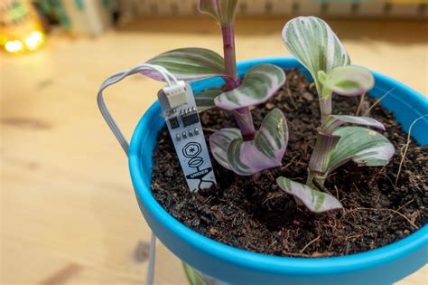 Plant Monitoring With Enviro Grow Pico W Aboard