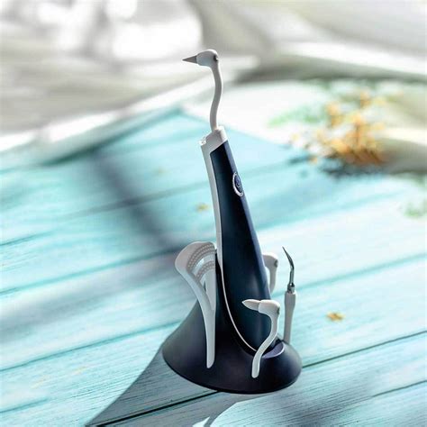 Sonic Vibration Scaler Household Electric Scaler P Grandado