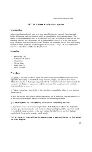 Lab PDF