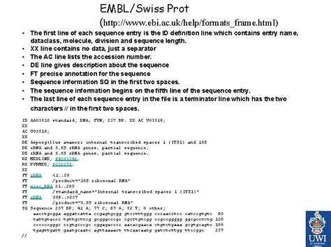 Sequence Formats And Databases In Bioinformatics Definitionsbasics Sequence