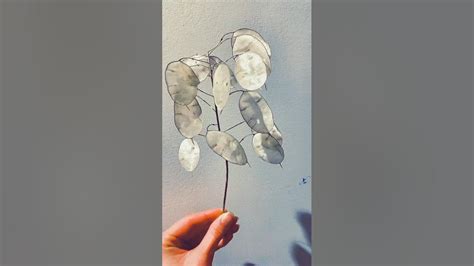 Хендмейд Україна повсюди Сухі квіти Декор своїми руками Youtube