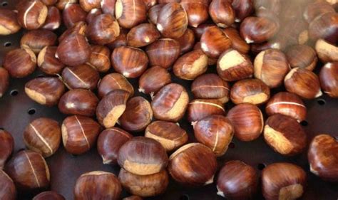 წაბლის სასარგებლო თვისბებები რომელიც არ იცოდით