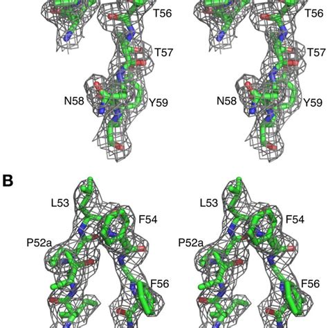 representative 2fo fc electron density maps cdr h2 loop residues