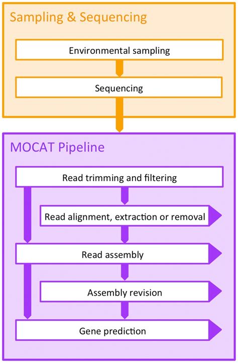 Metagenomic Samples Are Collected And Sequenced The Raw Sequence Reads Download Scientific