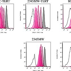 CFSE Based Cell Proliferation Assay