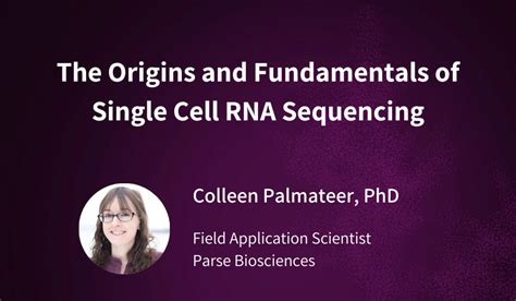 Getting Started With Single Cell Rna Sequencing Webinar Series Parse Biosciences