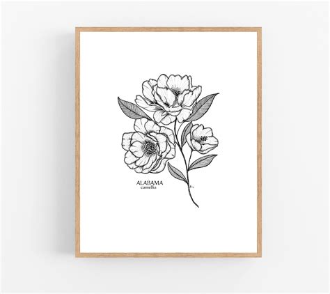 Alabama Camellia Sketch Print Printable Art Digital Download