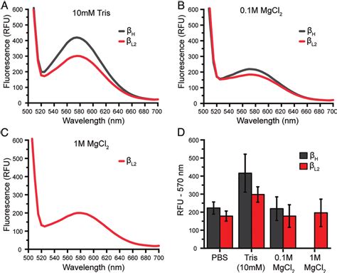 Examination Of Hydrophobic Interfaces In Lens β Crystallins Through The