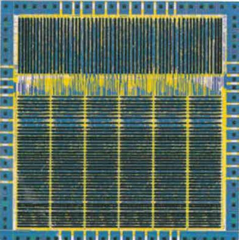 Iis Chip Gallery Shiva 1993