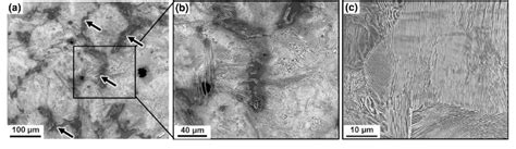 Sem Micrographs Of The As Cast Microstructure In The 1cr Uhcs Showing