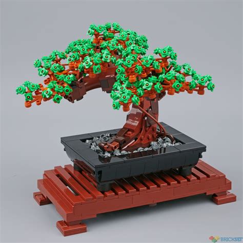 Lego Bonsai Anleitung Lego Botanical Collection Bonsai Blumenstrauß