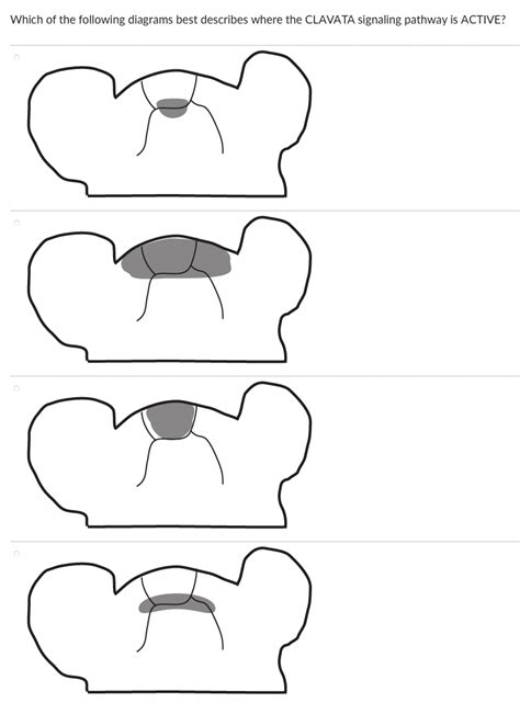 Solved Which Of The Diagrams Best Describes Where The
