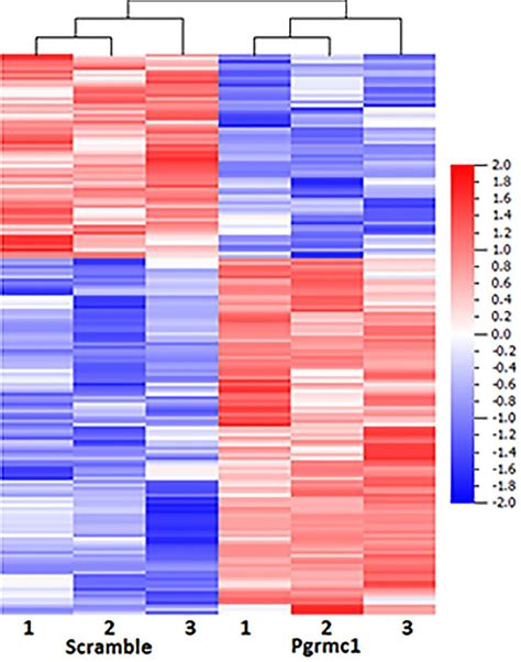 heat map of microarray data showing relative expression of genes found