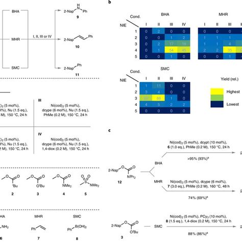 Reactivity Assessment And Optimized Conditions A Reactivity Assessment Download Scientific