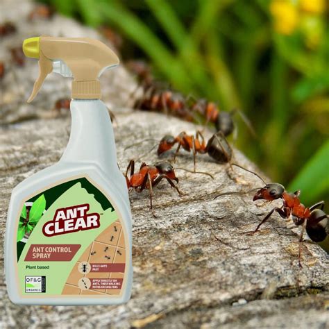 Natural Ant Repellent For Your Garden Mucmv