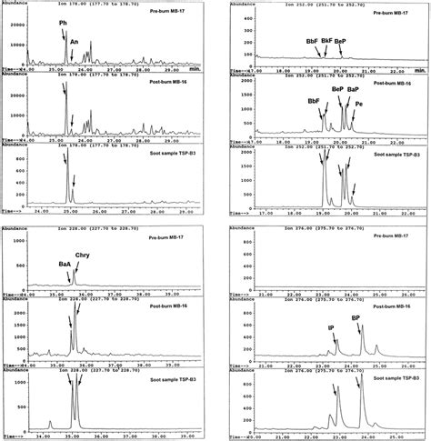 Comparison Of Representative Extracted Ion Chromatograms At M Z 178 Download Scientific