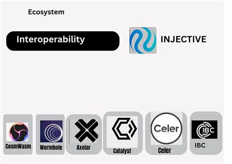 Exploring Interconnectivity Across The Injective Ecosystem By Bilqis