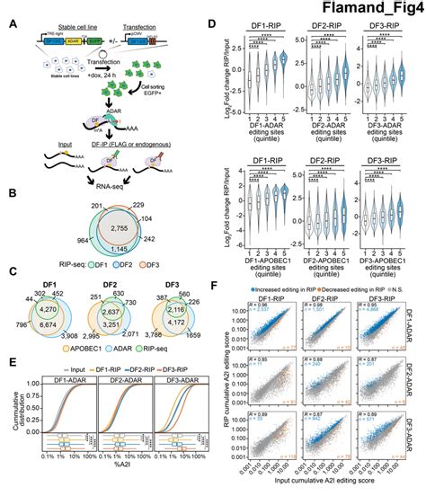 Rip Seq Confirms Co Binding Of Df Proteins To The Same Mrna Molecules