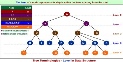 Basic Tree Terminologies In Data Structure Cs Taleem