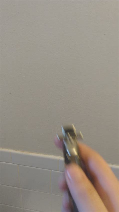 Aga Campolin 9 Dominus Rswitchblades