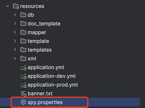 JavaP Spy数据库SQL记录 Enmalvi